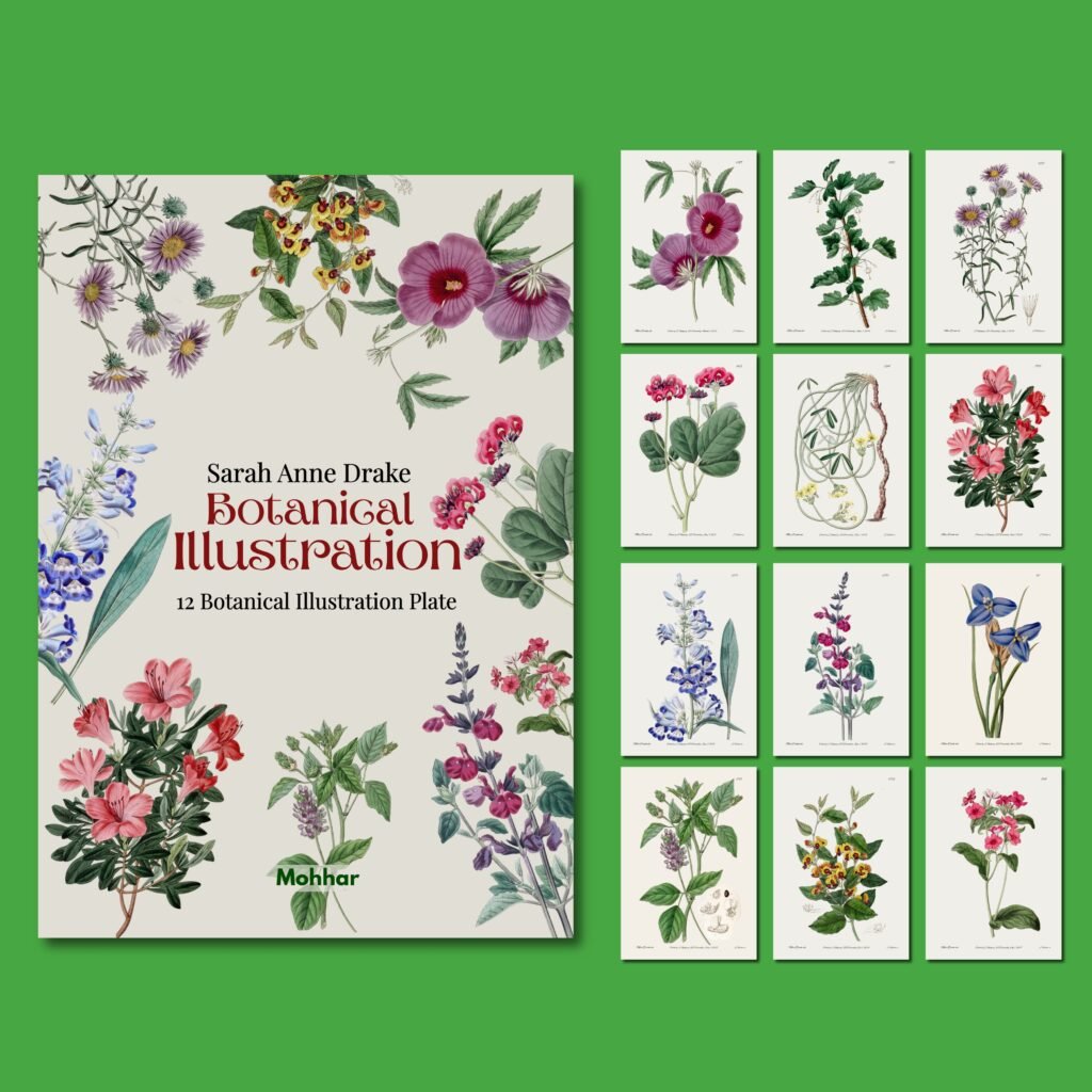 Sarah Anne Drake – 12 Iconic Botanical Illustration Art Prints Set ...